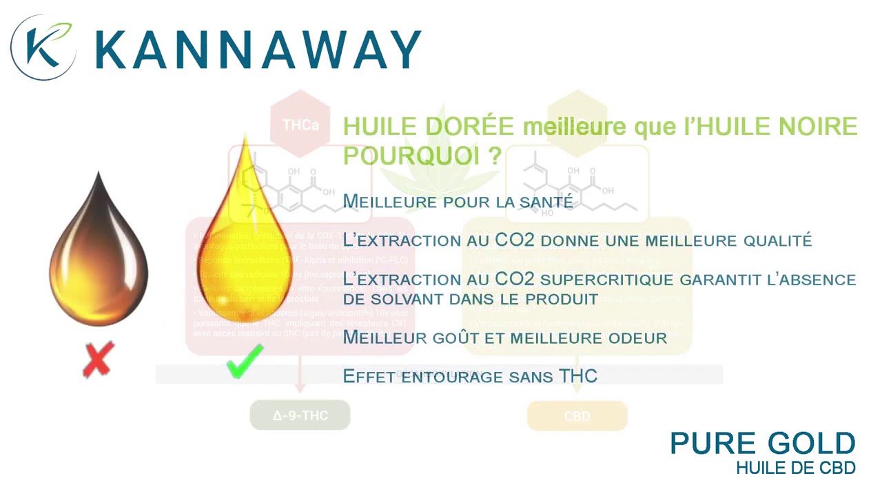 Kannaway Pure Gold Explications sur le CBD Version française - YouTube