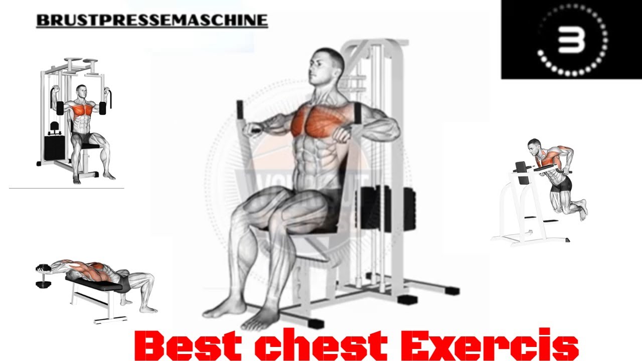 How to build a stronger chest gym workout routines - YouTube