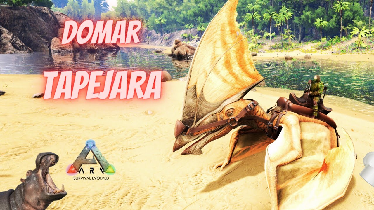 Como Domar Tapejara - Ark Survival Evolved - YouTube