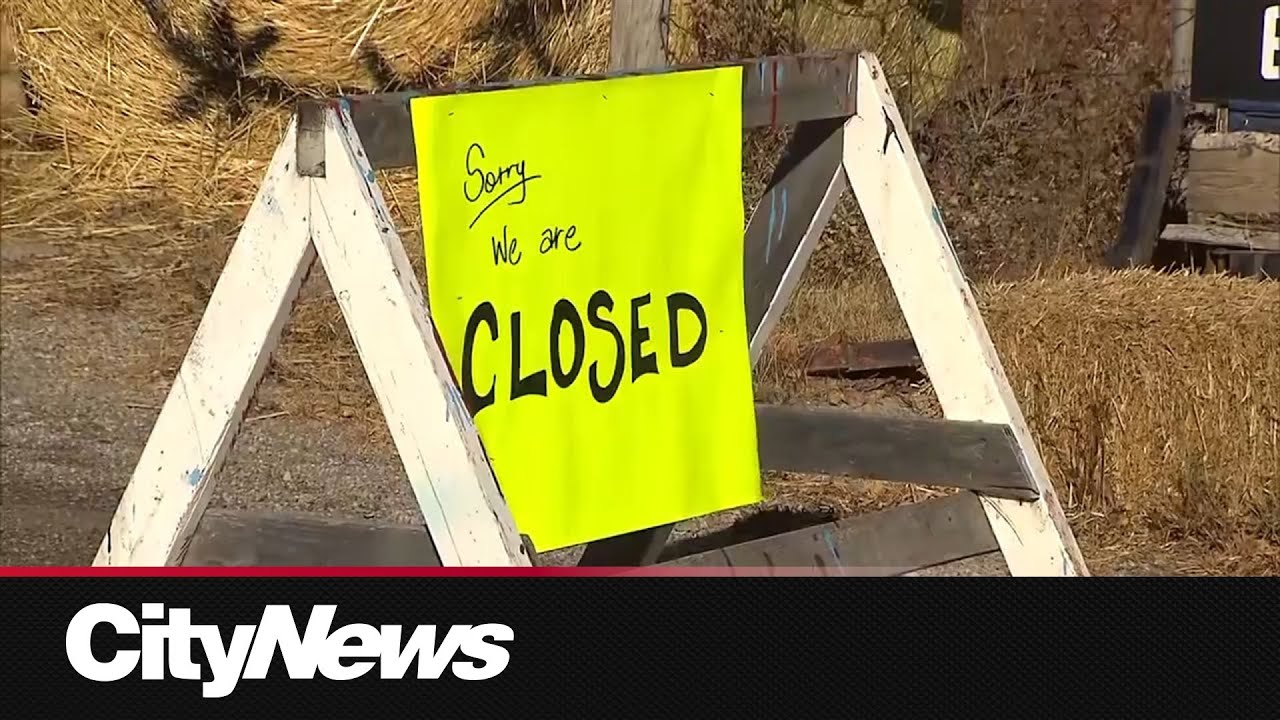 Calgary's Butterfield Acres Petting Farm closed due to Avian Influenza ...