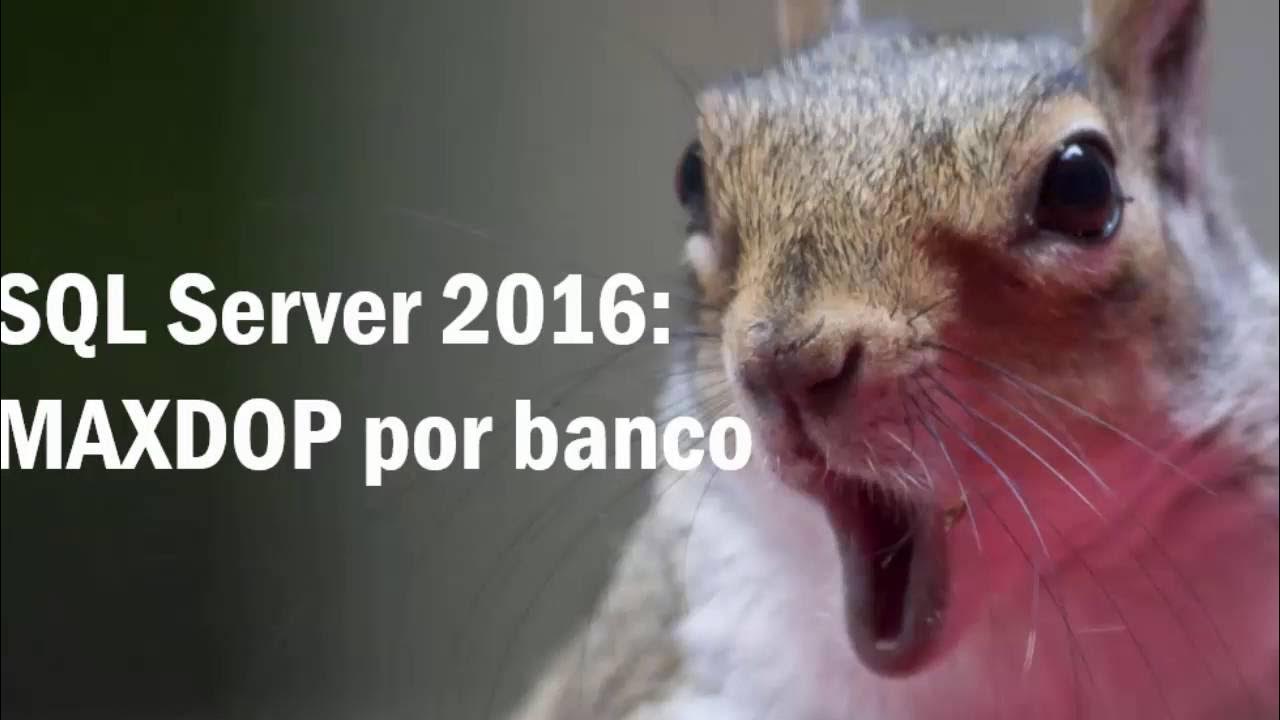 SQL Server 2016 - MAXDOP por banco de dados | Paralelismo por banco de ...