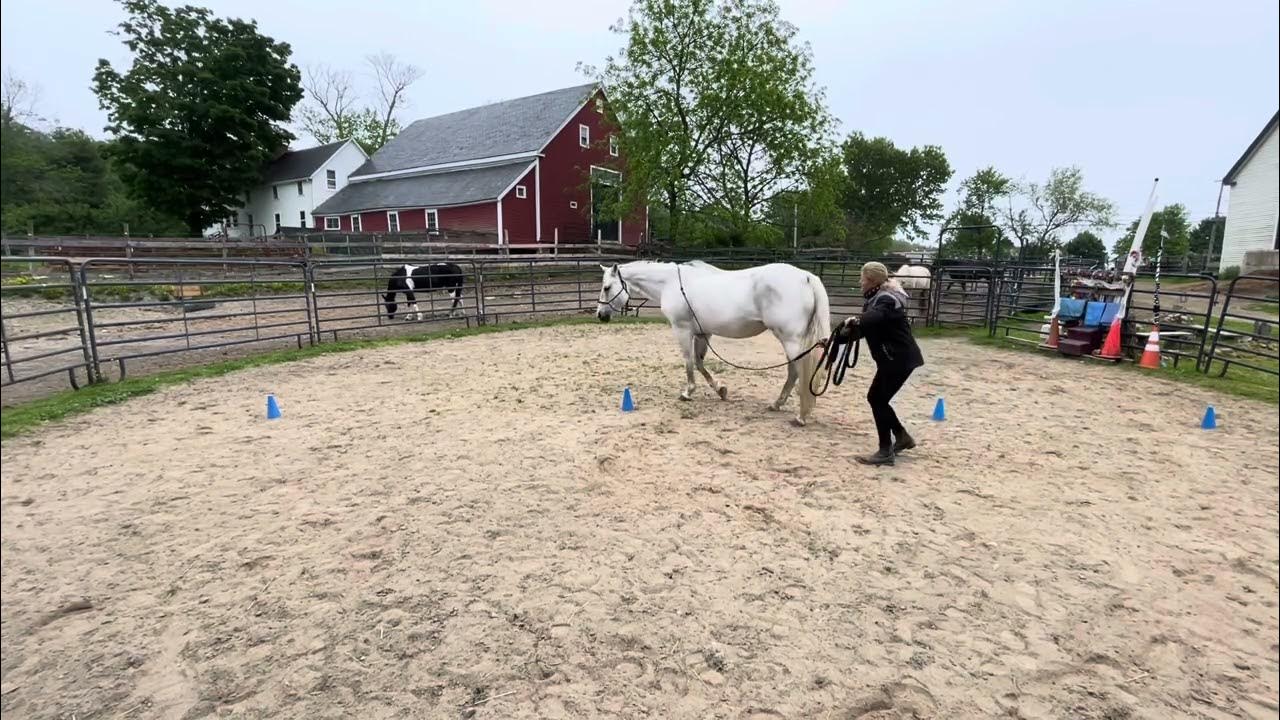 Horsin’ Around New England Spring/Summer Challenge. May 2024,(You go ...