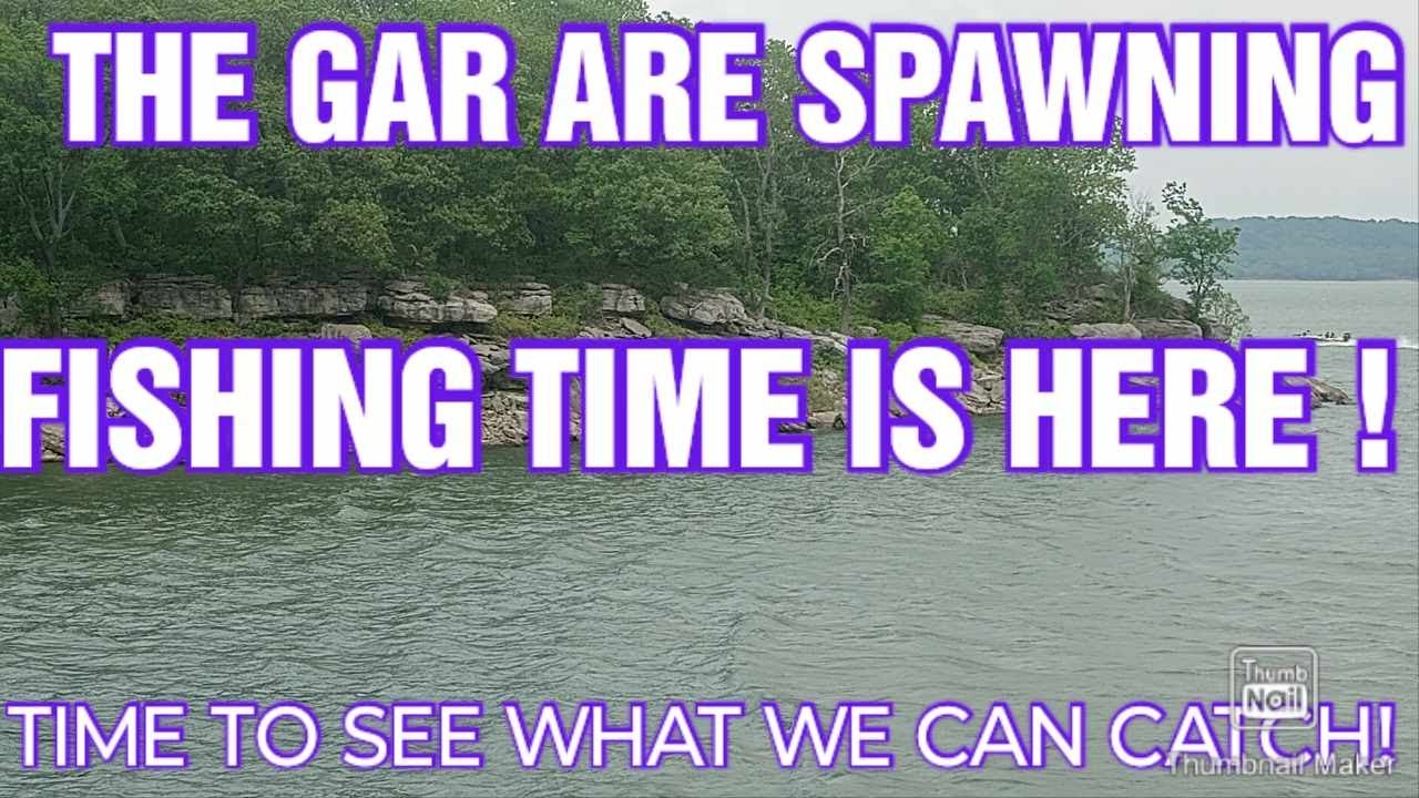 GAR ARE SPAWNING AND TIME TO FISH! ( WATER IS UP SOME ) - YouTube