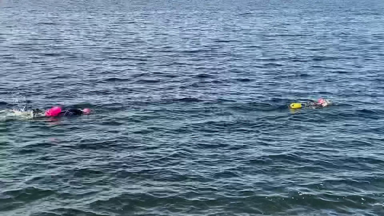 Swimming in Puget Sound - YouTube