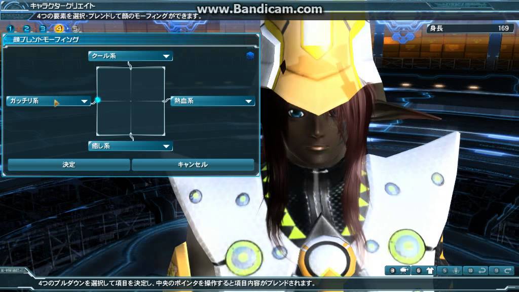 Phantasy Star Online 2 Newman Male Random 2 - YouTube
