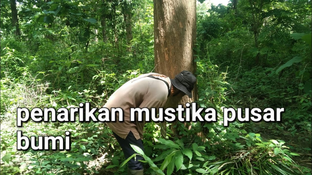 Proses penarikan mustika pusar bumi di tengah hutan - YouTube