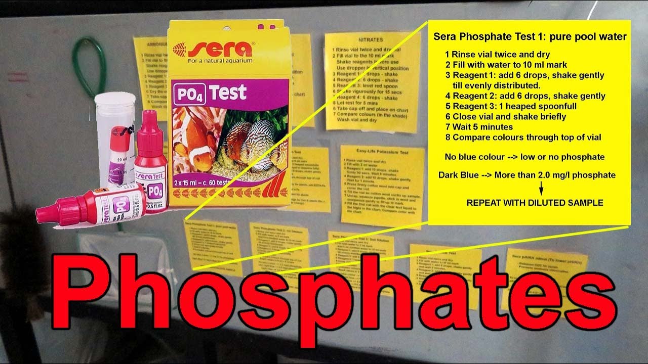 How you test phosphates with the Sera GmbH Test kit for aquariums - YouTube
