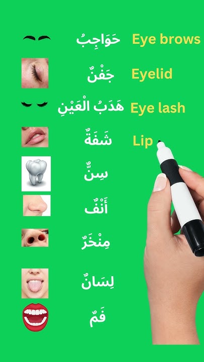 Unlock Arabic Secrets: Beginner Vocabulary Guide #arabic #english # ...