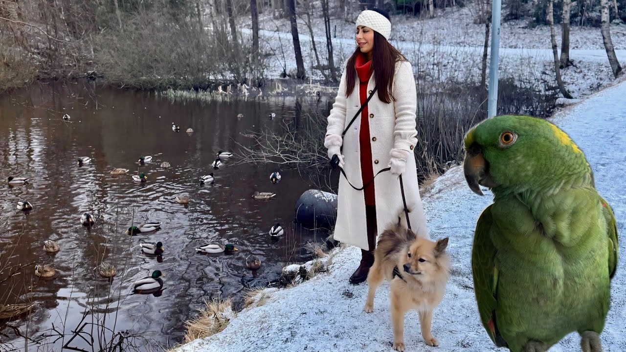 The Most Unexpected Animal Friendships - YouTube