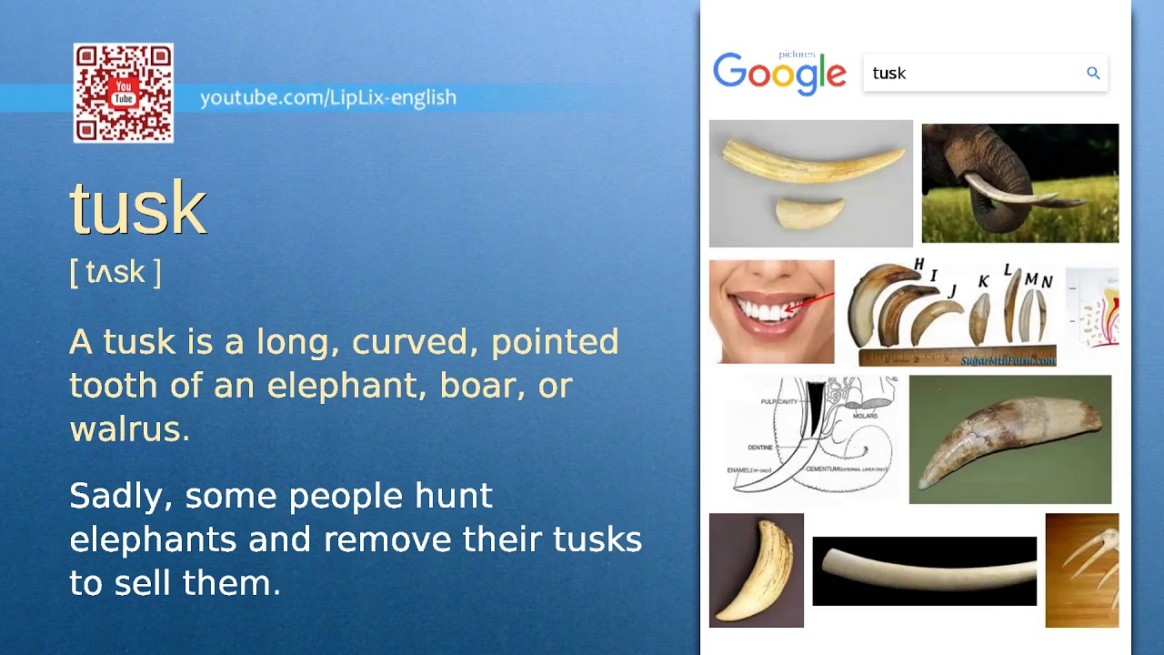 Tusk : C1 level english vocabulary lesson, www.LipLix.com - YouTube
