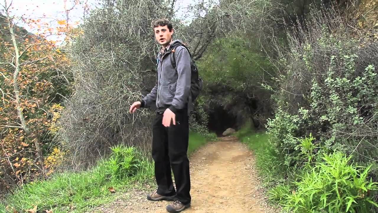 Temescal Canyon Loop Quarter Mile to Waterfall - YouTube