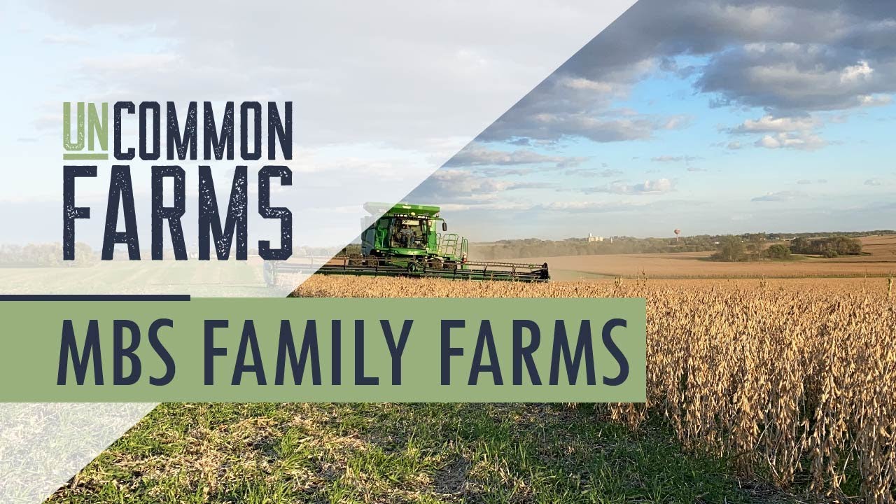 MBS Family Farms | UnCommon Farms - YouTube