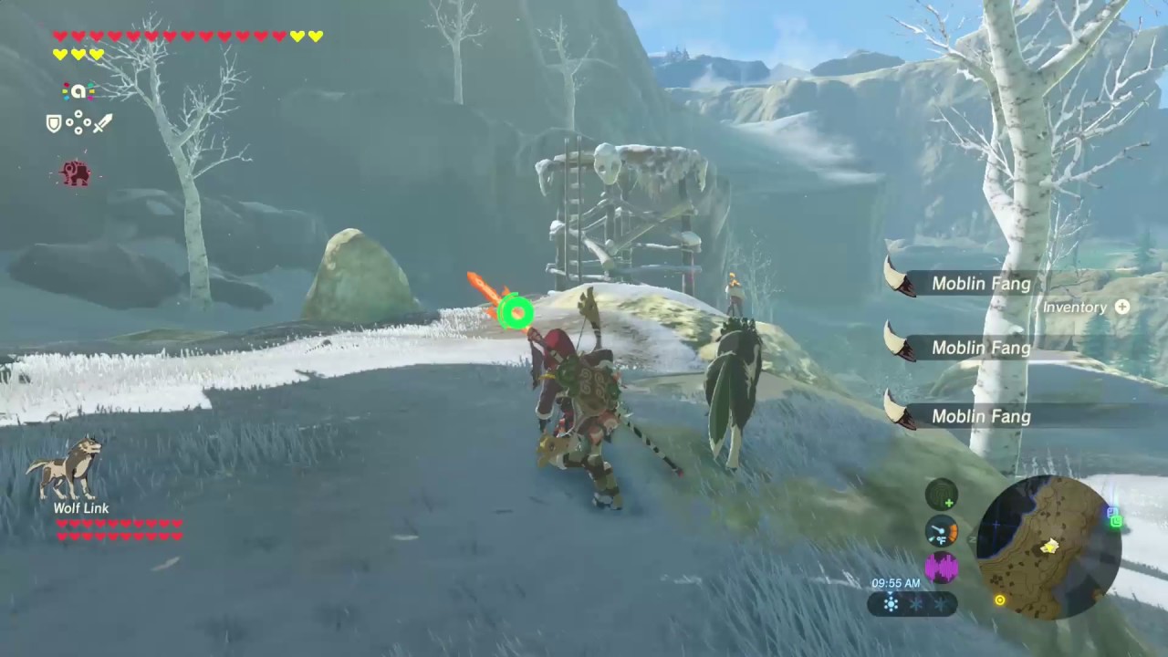 Link gets frozen, literally - Breath of the Wild - YouTube