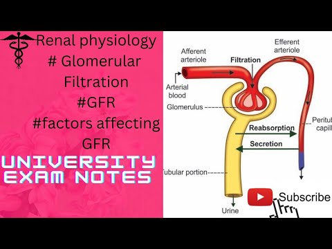 Glomerular Filtration/GFR/factor affecting GFR/Filtration membrane ...