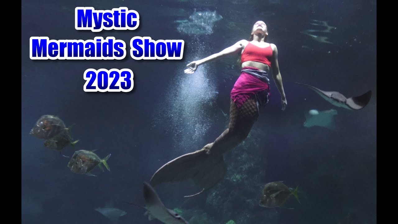 Mystic Mermaids show 2023 - YouTube