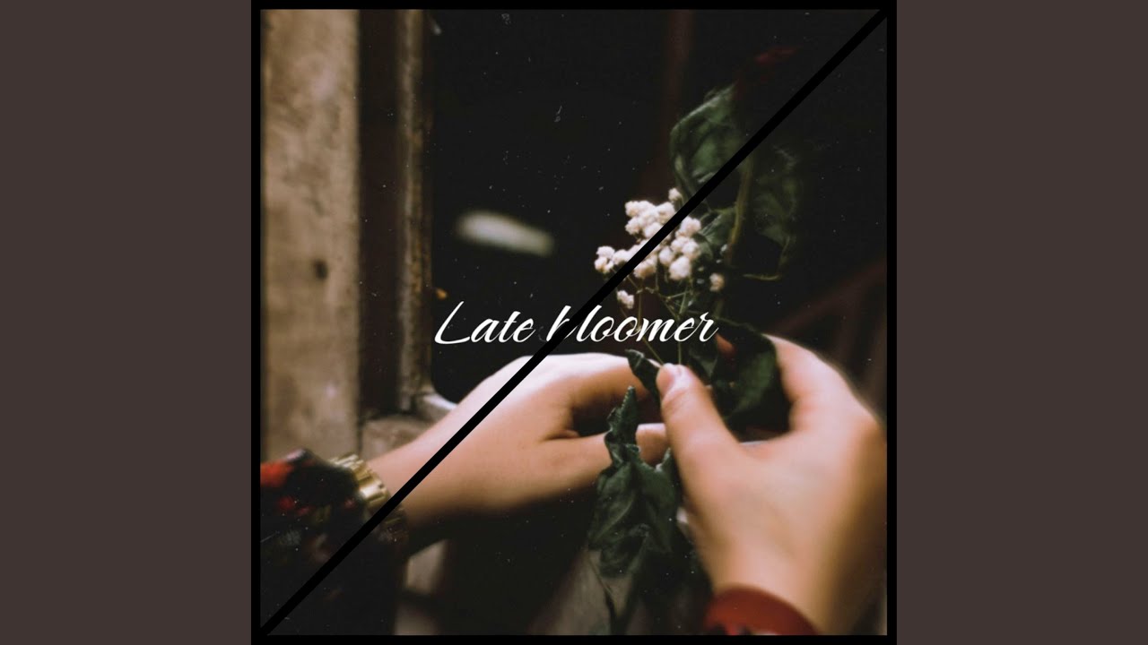 Late Bloomer - YouTube