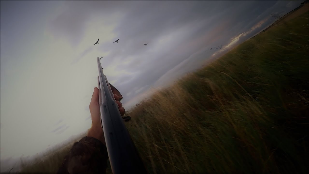 Goose Shooting with the GoPro - YouTube