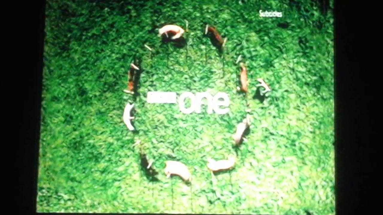 Madagascar BBC 1 Intro - YouTube