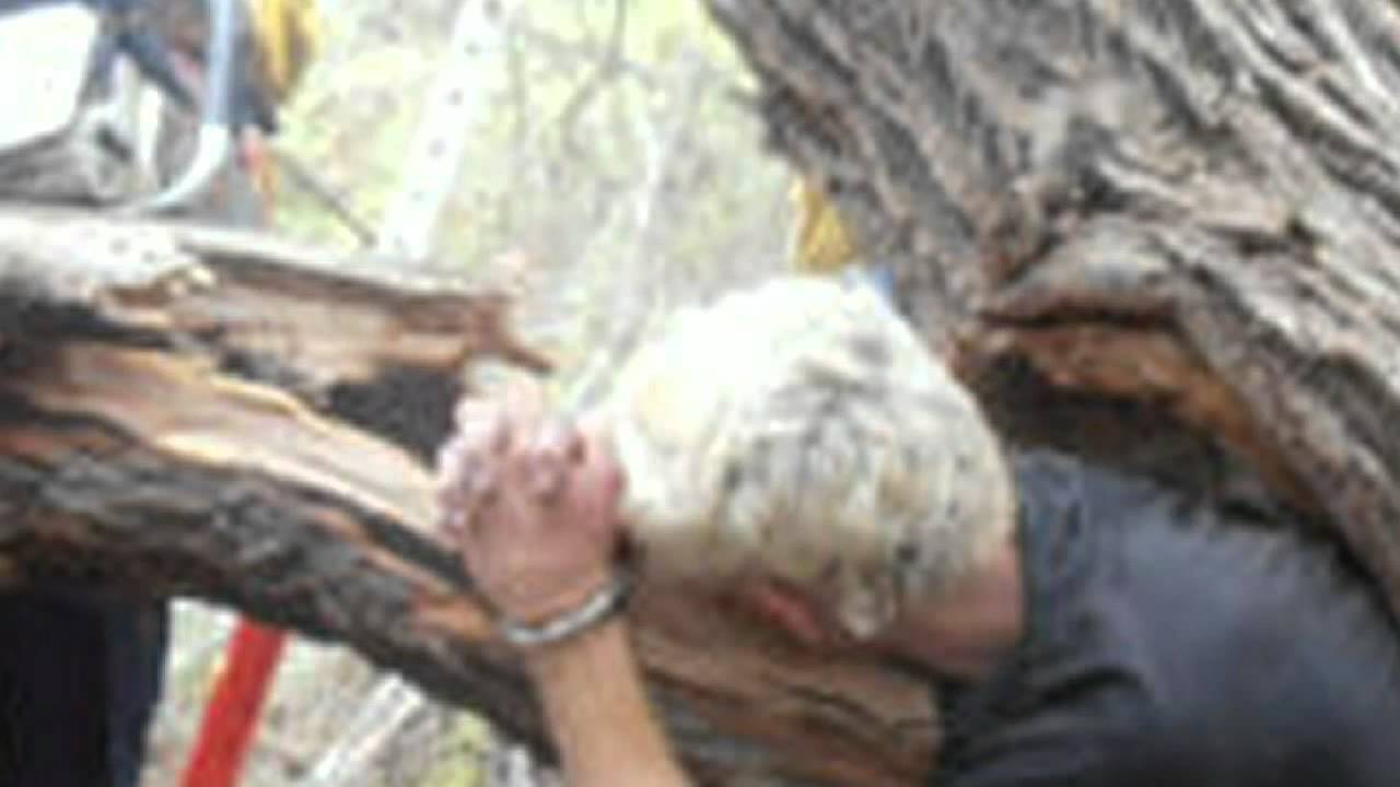 TREE SWALLOWS MAN: See the bizarre rescue effort - YouTube