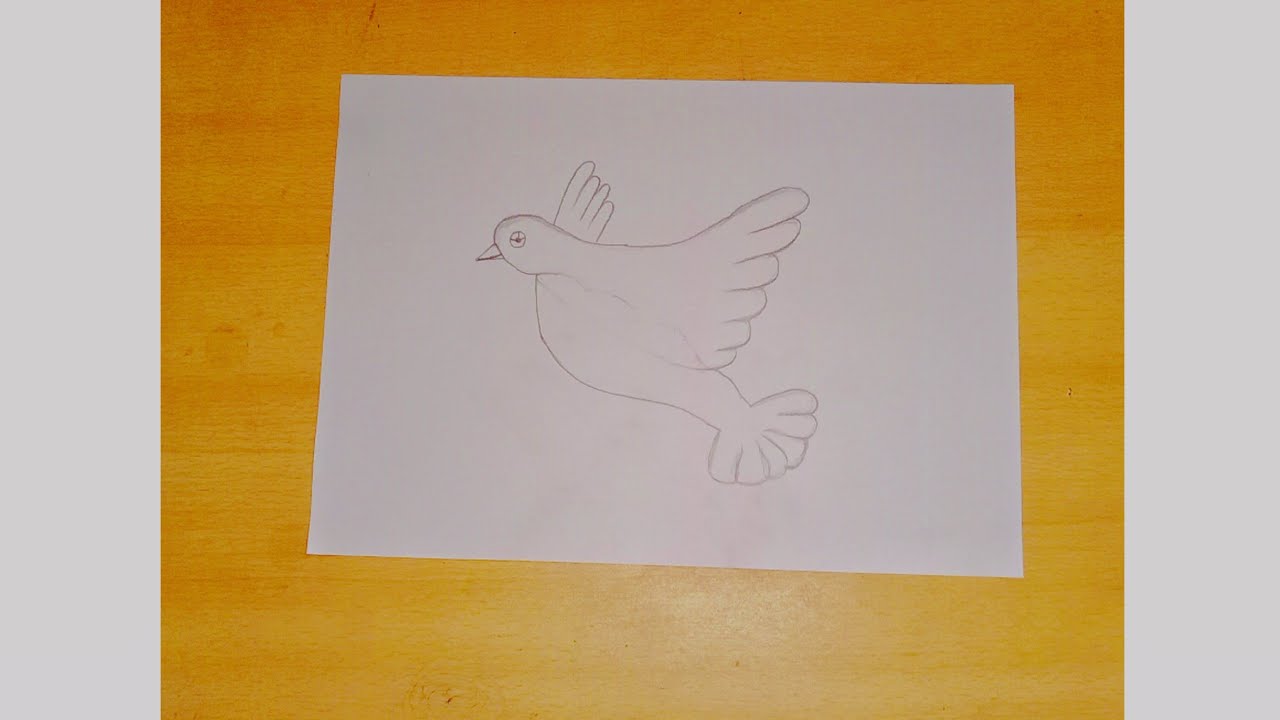 How to draw a peigon | Easy drawing | Sketchy vibes - YouTube