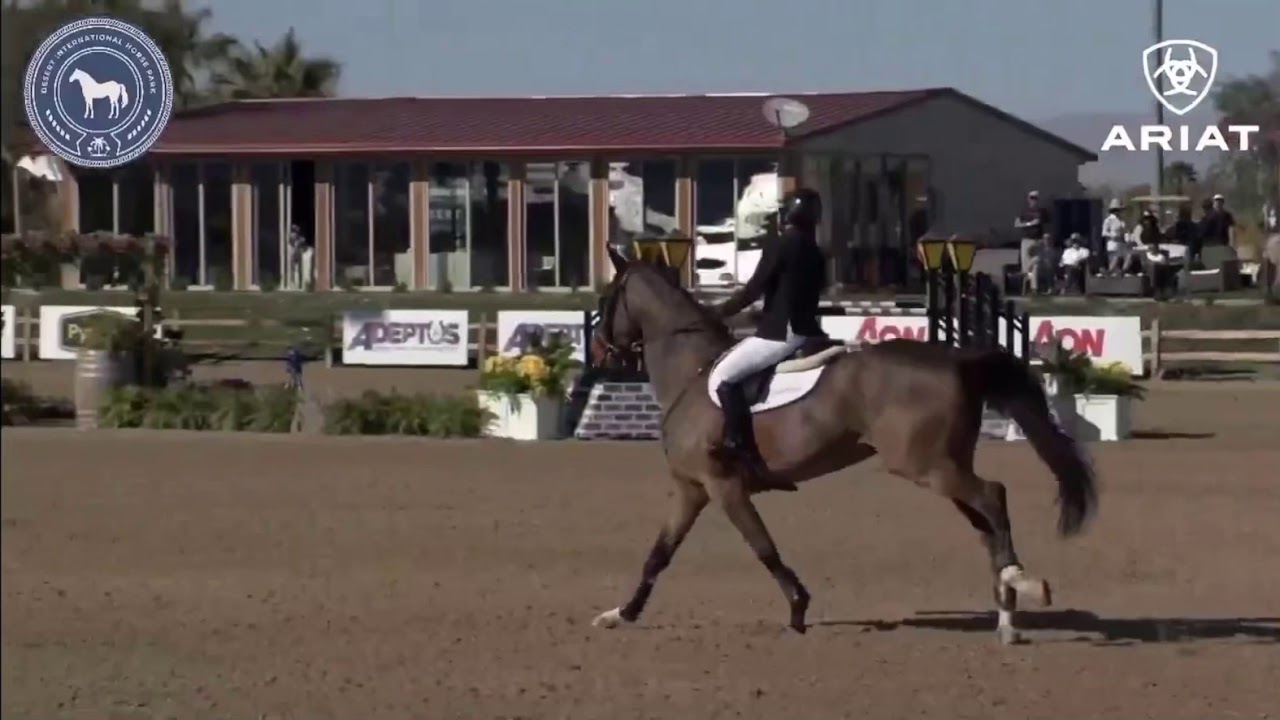 Calypso vd Zuuthoeve & Laura Hite $100,000 Grand Prix win Desert Horse ...