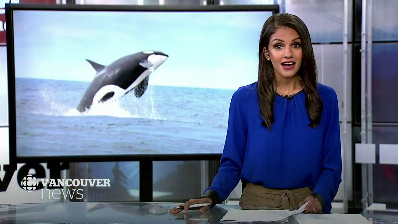 WATCH LIVE: CBC Vancouver News at 6 for July 5 — Earthquakes, Hong Kong ...