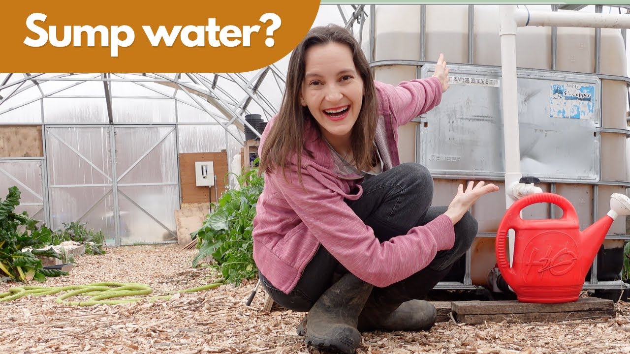 Use a Sump Pump to Water Your Greenhouse | Easy Water Wise Setup! - YouTube