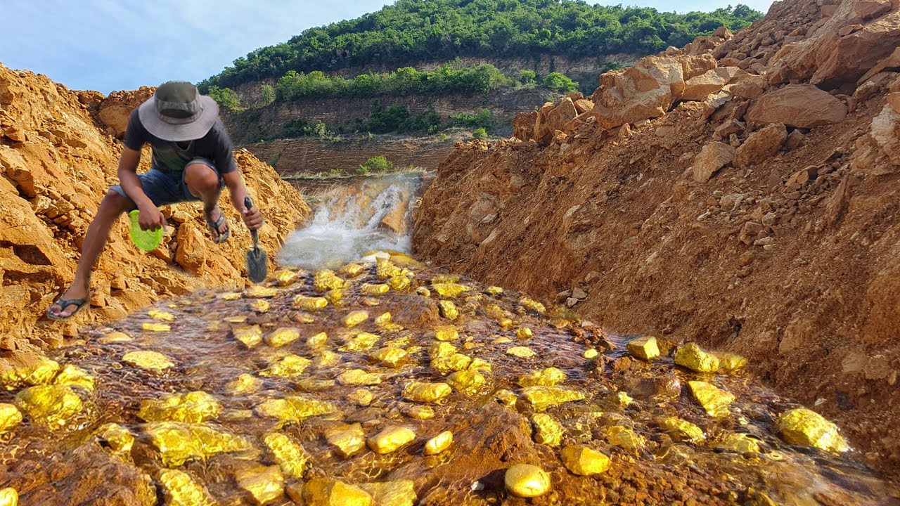 it's amazing finding! a gold miner found a lot of gold pearl in clear ...