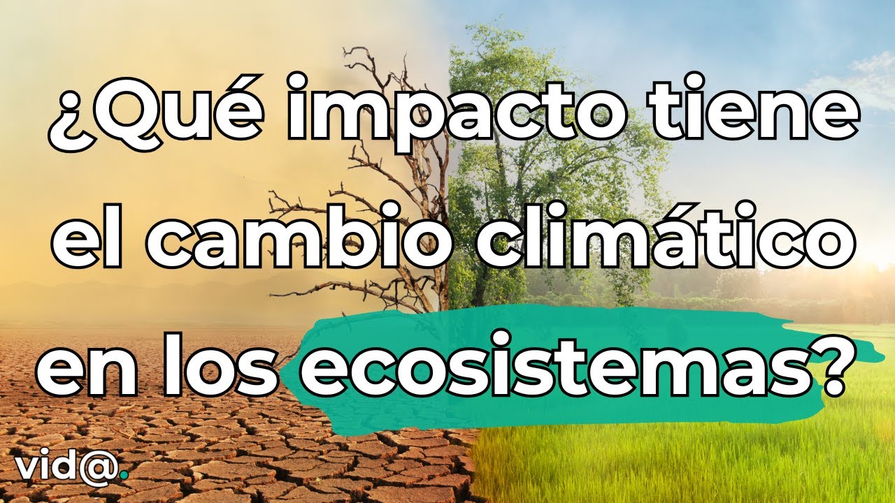 ¿Qué impacto tiene el cambio climático en los ecosistemas globales? # ...