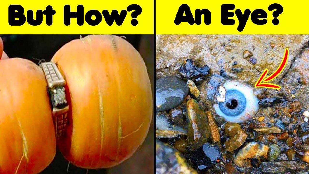 Unexplainable Things People Found - YouTube