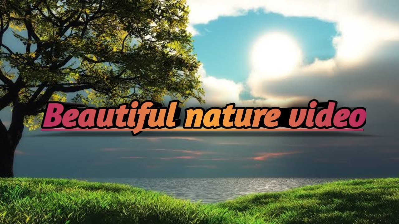 Best Nature video || - YouTube