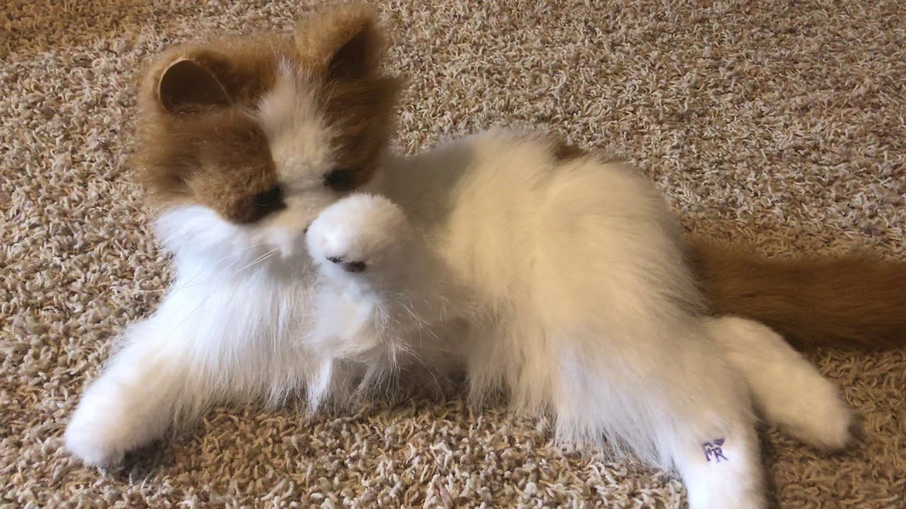FurReal Friends Lulu My Cuddlin Kitty Cat - YouTube