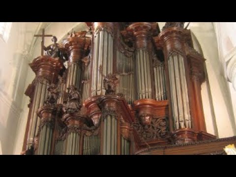 St. Peter’s Basilica Organ (1842) Improvisation - YouTube