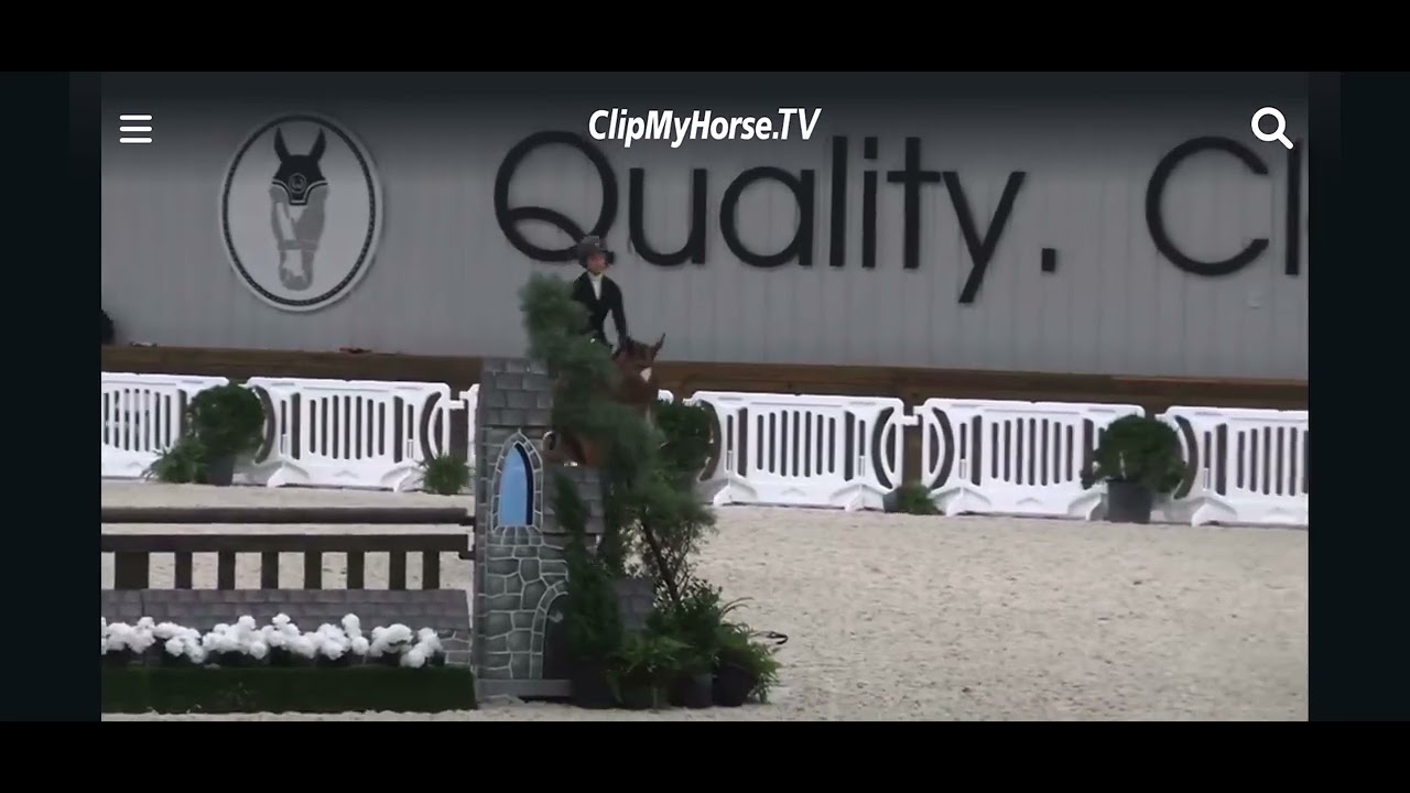 WIHS Equitation Hunter Phase - Madison Staiano riding Cetidem - YouTube