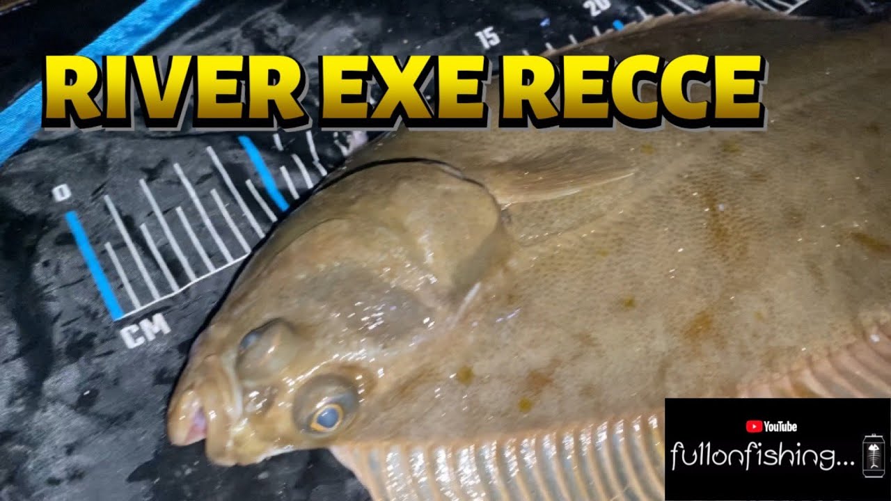 Sea Fishing the RIVER EXE for BASS and FLOUNDER. UK Devon Angling 2023 ...