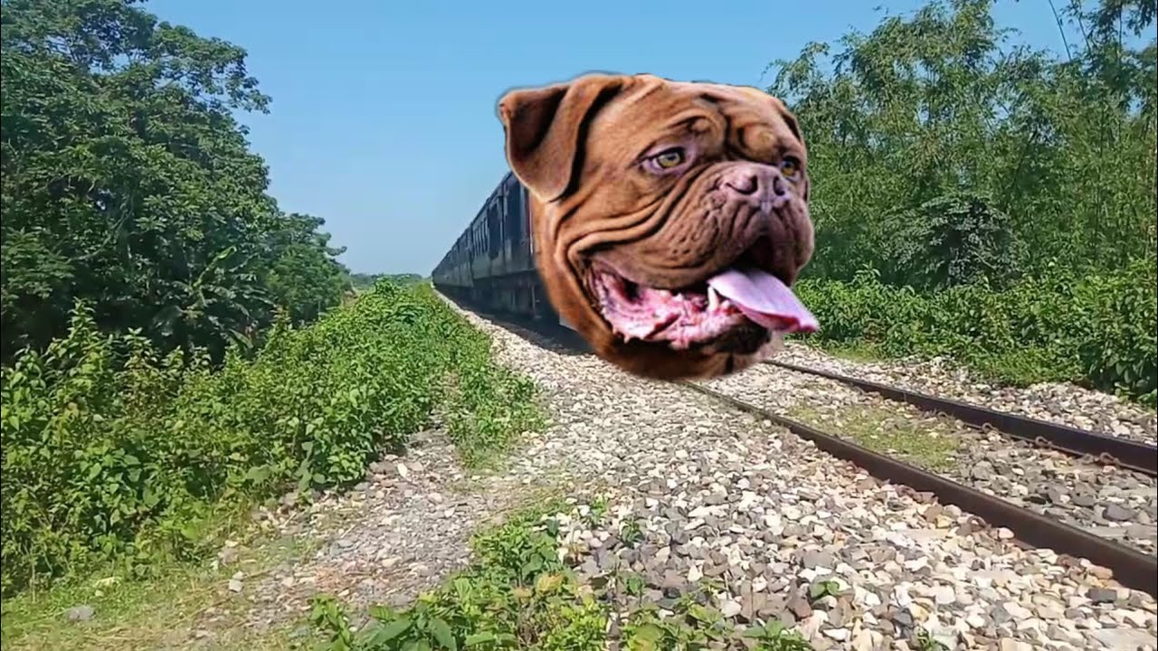 rail gari video। train video। - YouTube