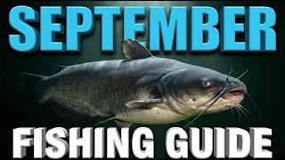 Are You Using the Wrong Catfish Bait? September Fishing Guide