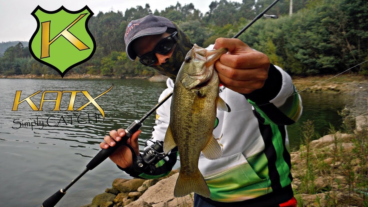 Pesca ao Achigã em Split Shot | Bass Fishing in Split Shot - YouTube