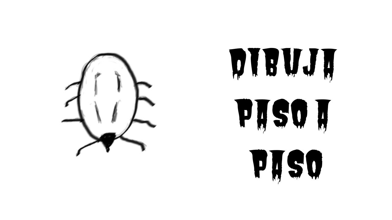 como DIBUJAR una GARRAPATA / Dibujo de Garrapata (IXODOIDEOS) / HOW TO ...