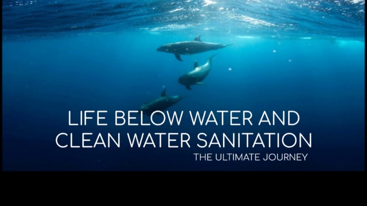 My PPT on Life Below Water and Clean Water Sanitation - YouTube