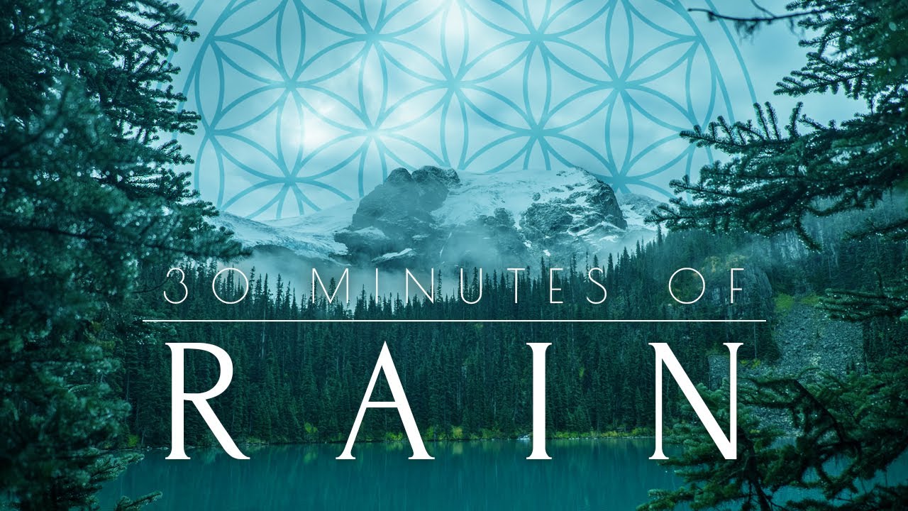 30 Minutes Rain Light Rain Sounds For Studying Meditation Relaxation ...