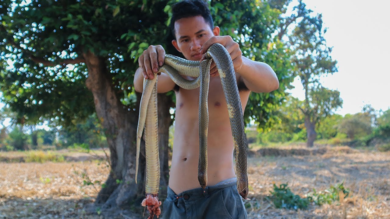 Primitive Technology: Find Snake (Cobra) in forest - Cooking snake soup ...