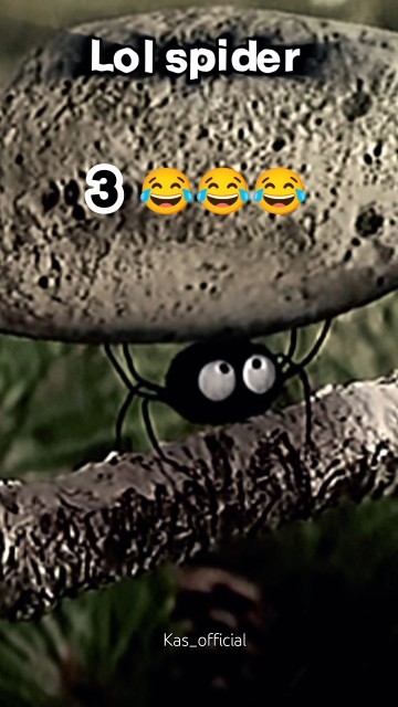 Minuscule series. Lol spider moment #animals #animasi #funny #minuscule #shorts - YouTube