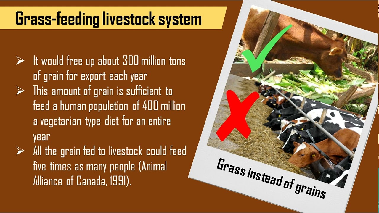 Vegetarianism and Treading Lightly on the Earth (Michael Allen Fox ...