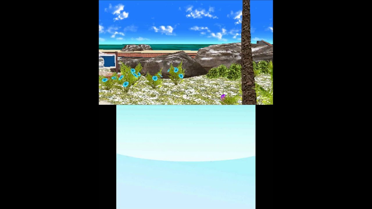 Petz Beach Gameplay (Nintendo 3DS) [60 FPS] [1080p] - YouTube