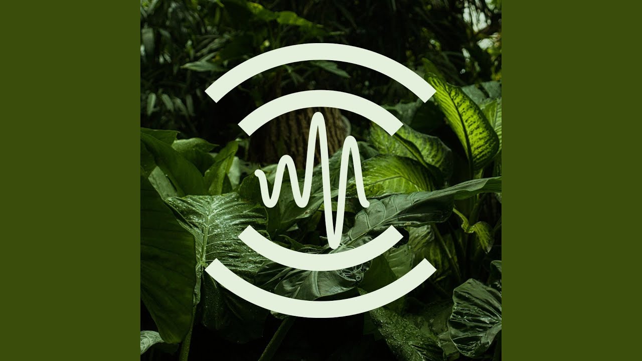 Synodic Moon 210.42Hz (98.6bpm) (feat. Morell) - YouTube