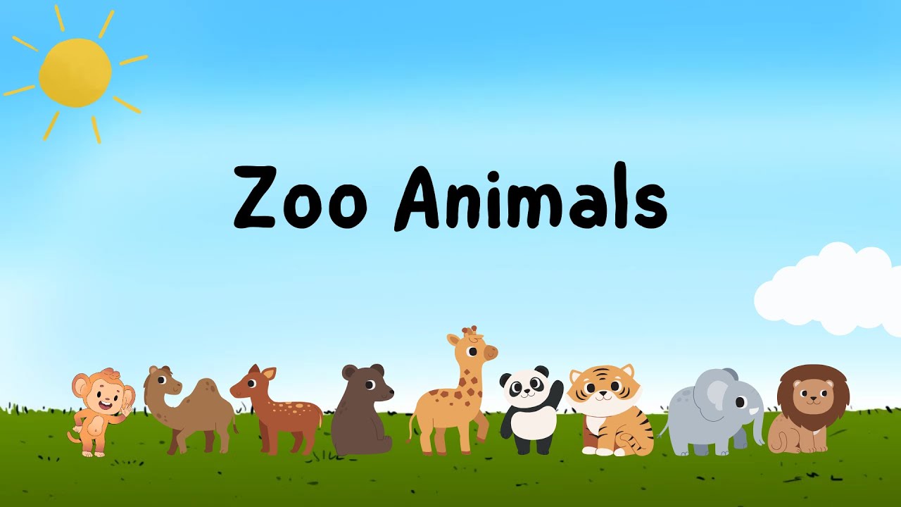 Zoo Animals | Mari mengenal dan bentuk rupa Hewan - YouTube