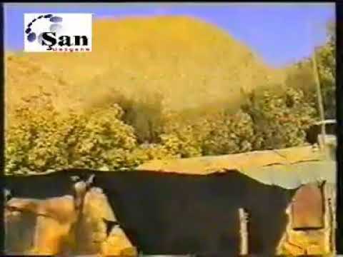 خەلو و جەلو - برایێ دین || Xelo Celo - Brayê Dîn