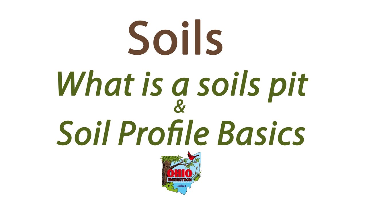 Envirothon Skills: What is a soil pit? - YouTube