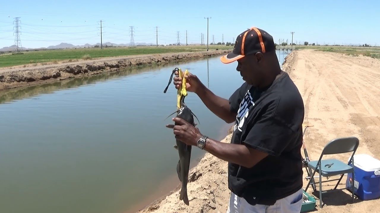SUMMER CATFISHING - YouTube